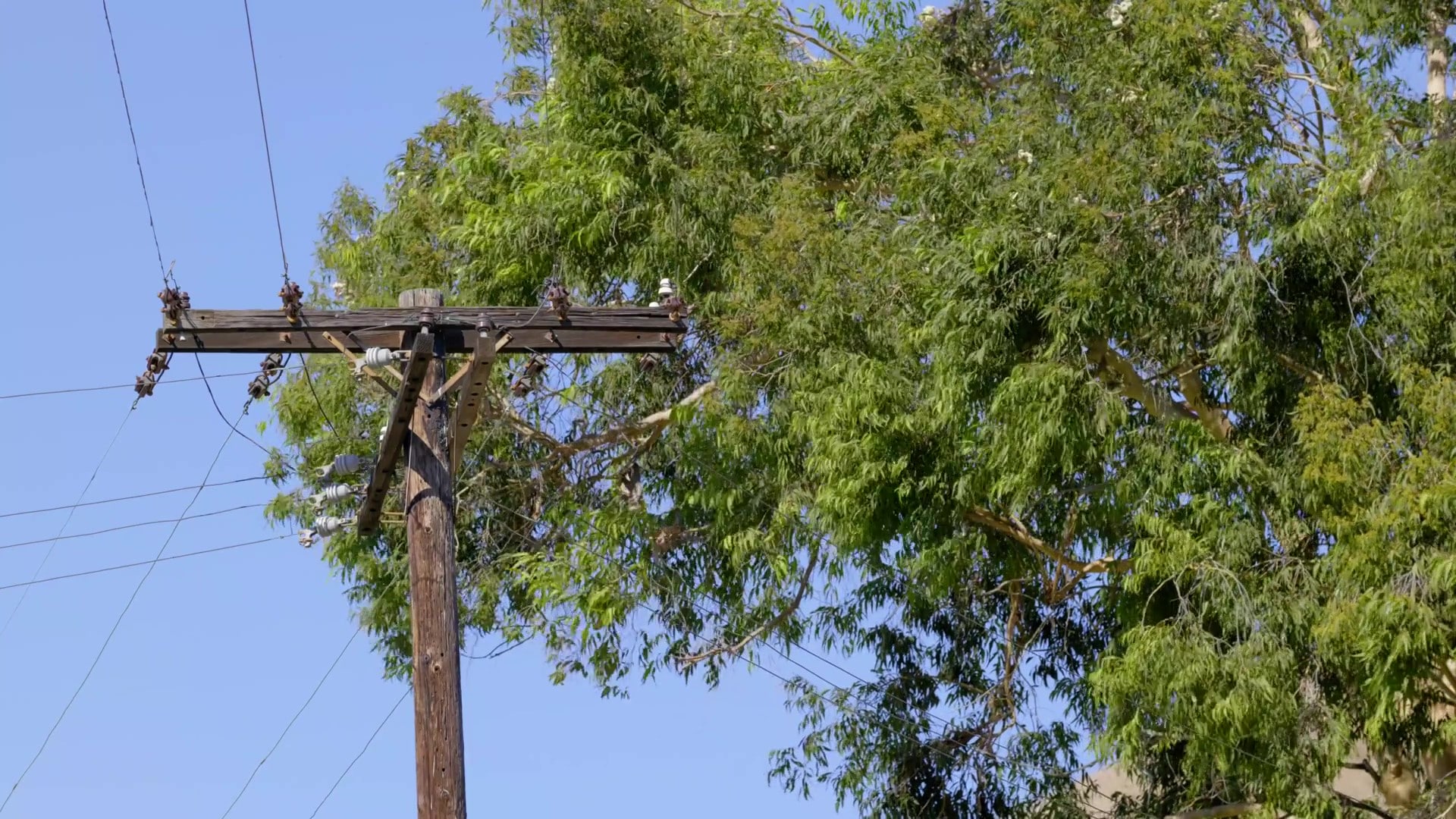 Dangerous Winds Force Power Shutoffs in California - Soar Dangerous Winds Force Power Shutoffs in California - Soar